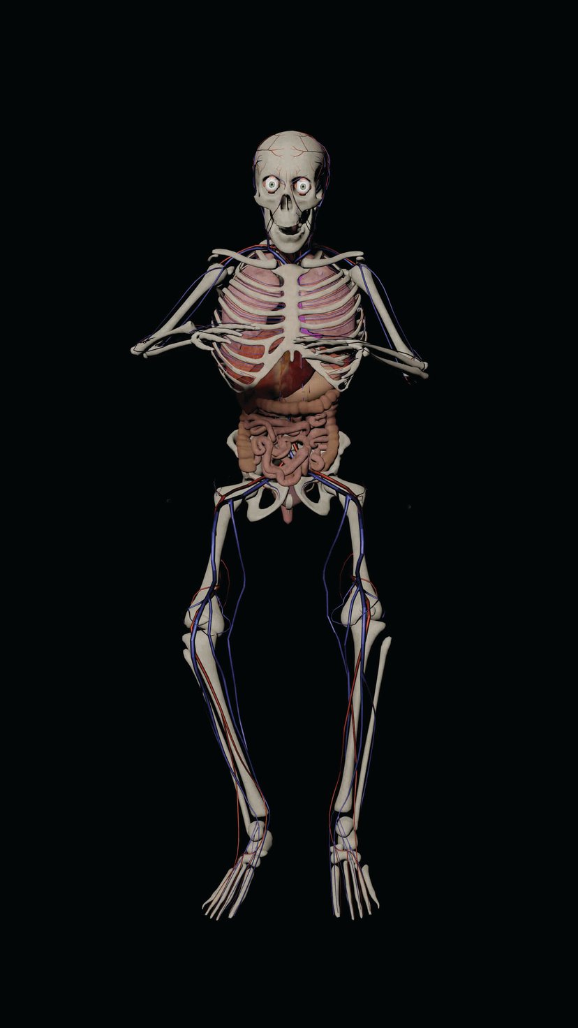 Every Body in Flight